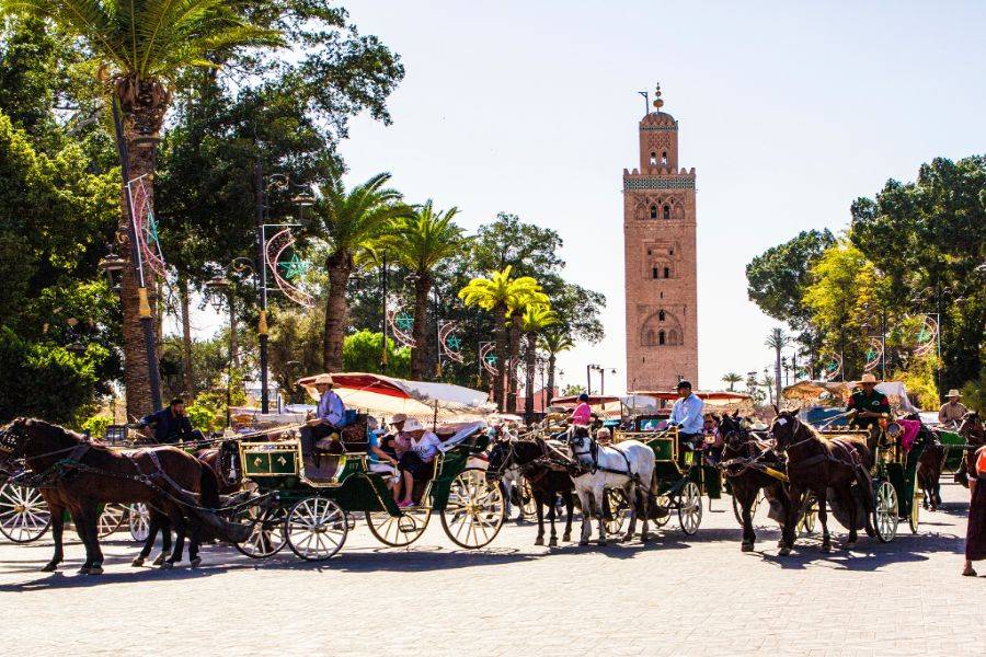 Hermoso paseo a caballo en Marrakech - Click Excursions